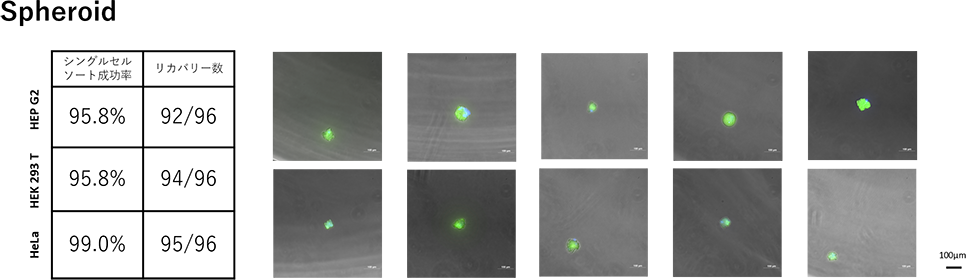 ソニー株式会社 | Large Particle Sorting Option | ライフサイエンス