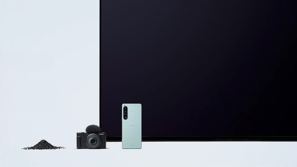 Sony Corporation - Environment
