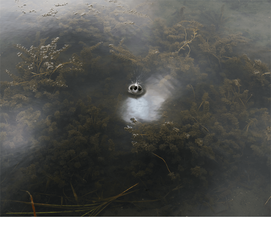 Sony Corporation - Sony Imaging Gallery | TOMIMO+AKINA Photo Exhibition