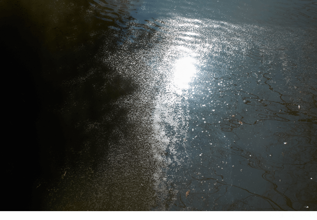 Sony Corporation - Sony Imaging Gallery | TOMIMO+AKINA Photo Exhibition