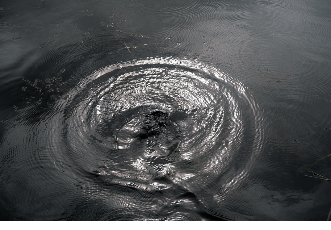 Sony Corporation - Sony Imaging Gallery | TOMIMO+AKINA Photo Exhibition