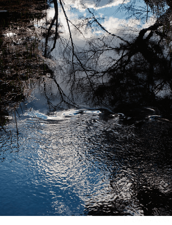 Sony Corporation - Sony Imaging Gallery | TOMIMO+AKINA Photo Exhibition