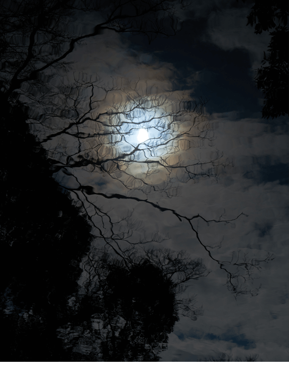 Sony Corporation - Sony Imaging Gallery | TOMIMO+AKINA Photo Exhibition