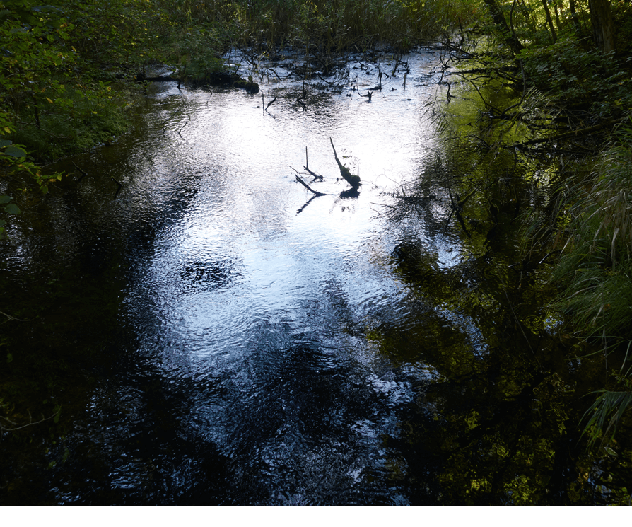 Sony Corporation - Sony Imaging Gallery | TOMIMO+AKINA Photo Exhibition