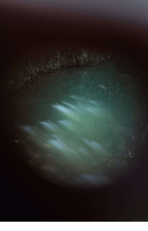 Sony Corporation - Sony Imaging Gallery | TOMIMO+AKINA Photo Exhibition