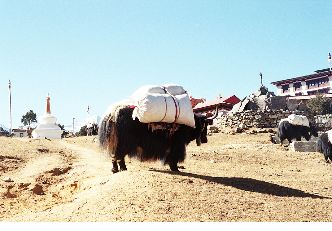 Sony Corporation - Sony Imaging Gallery | Wataru Suzuki Photo Exhibition