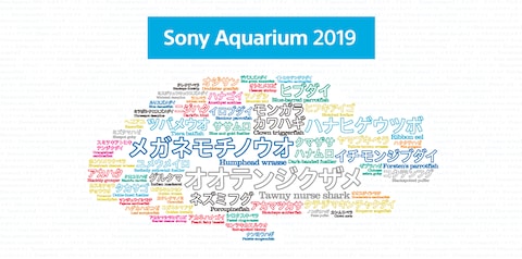 Sony Japan | ソニーグループ ポータルサイト